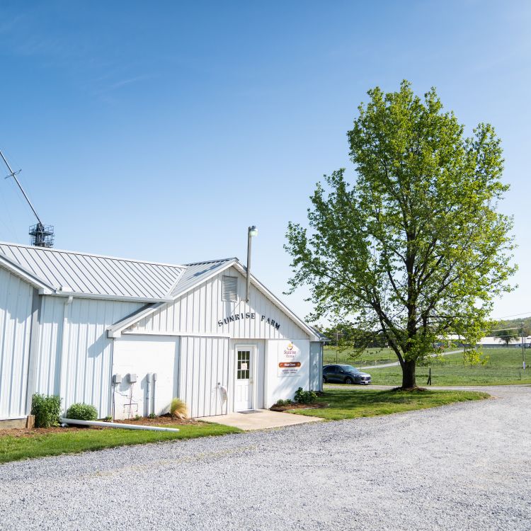 Farm Feature: Sunrise Farms