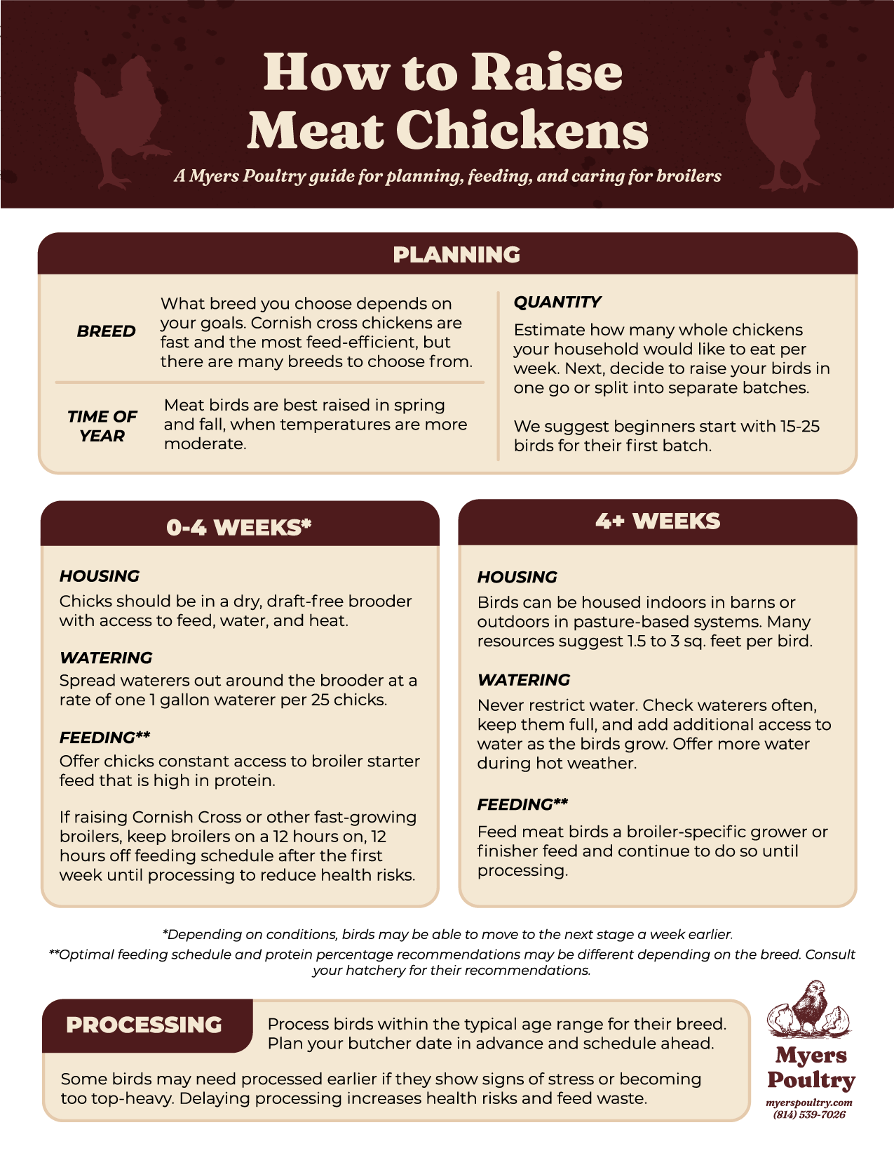 How to Raise Meat Chickens: Breeds, Care, Feeding, and Processing