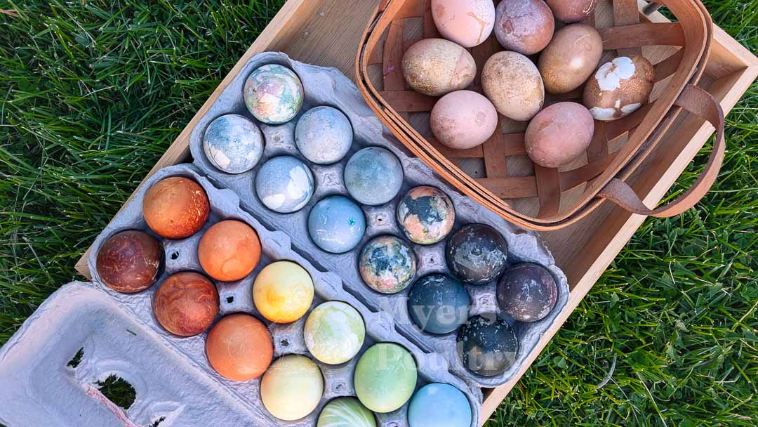 How to Make Natural Easter Egg Dyes at Home