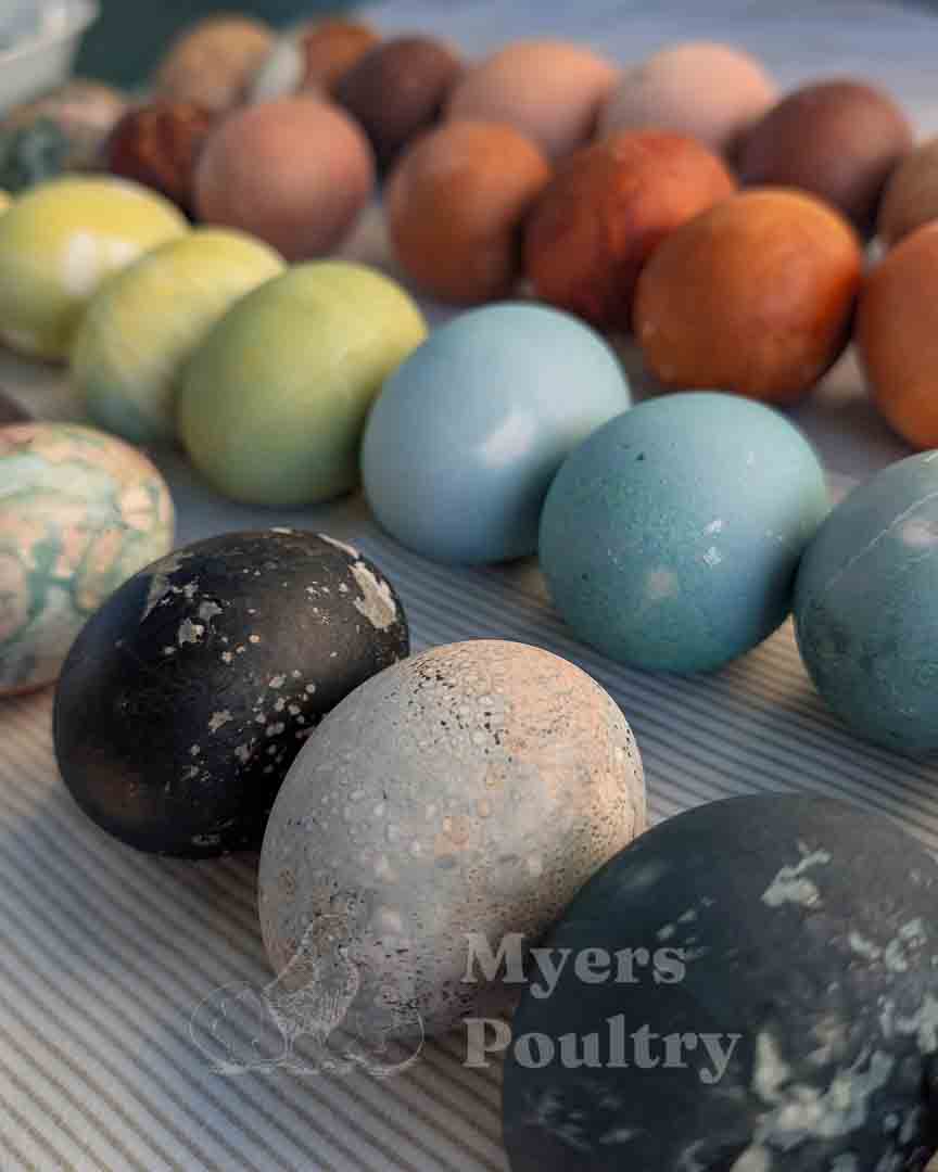How to Make Natural Easter Egg Dyes at Home